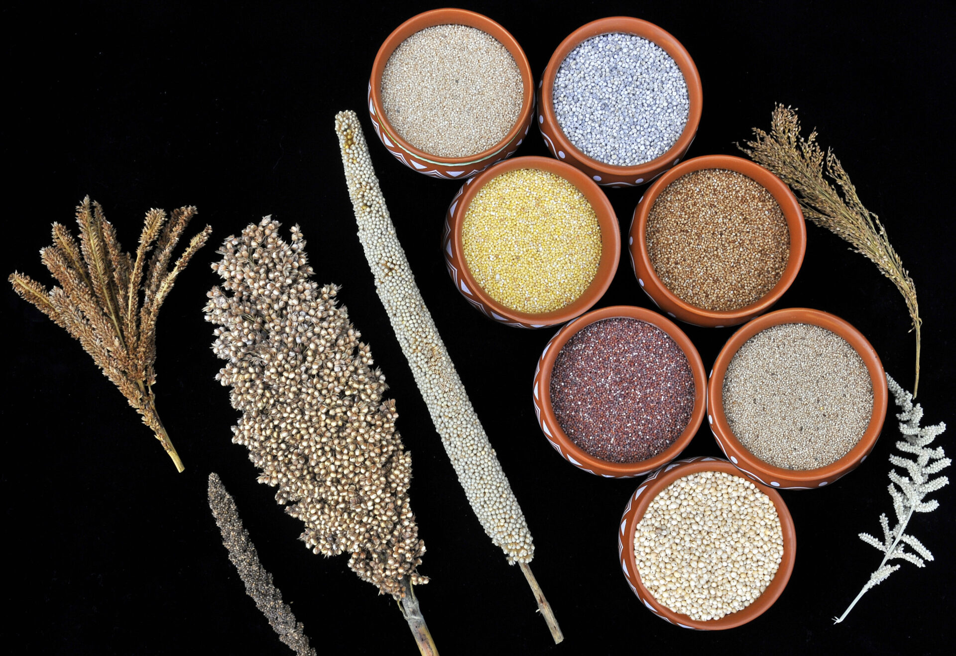 About the Millet Revival Project – Millet Revival Project