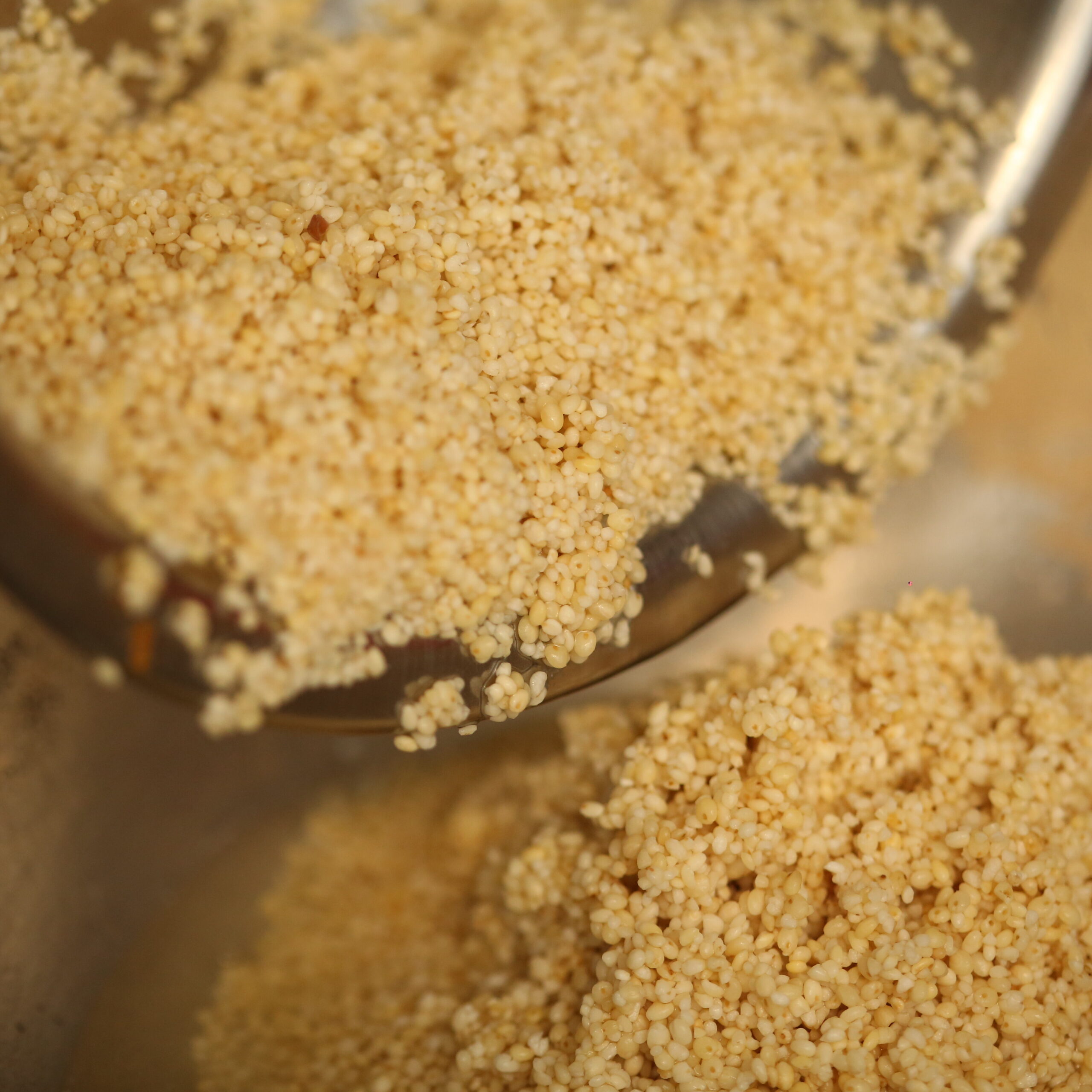 About the Millet Revival Project – Millet Revival Project