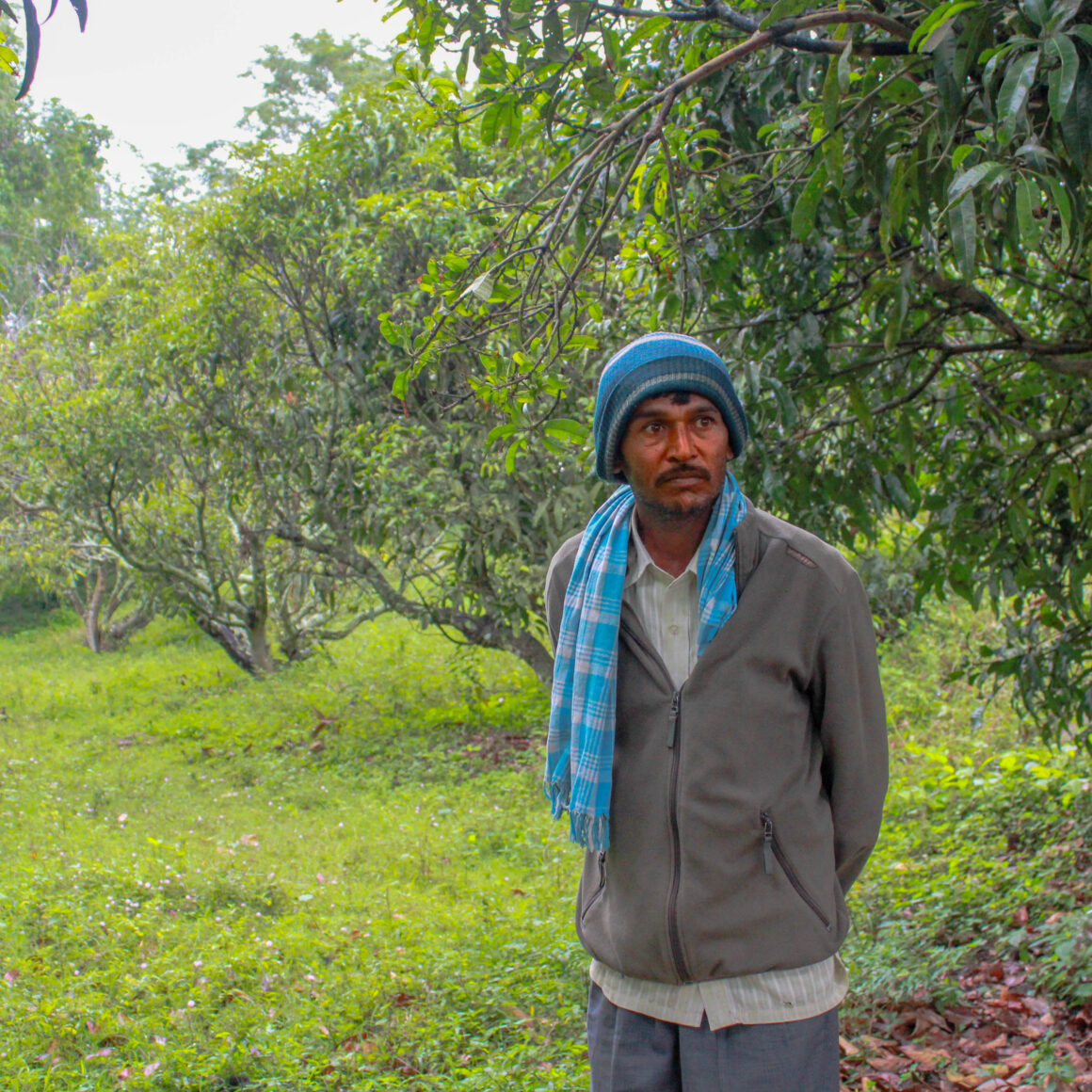 Stories - Millet Revival Project