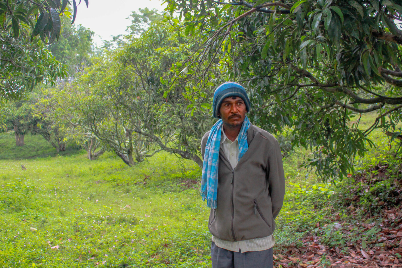 Shared With Elephants: Growing Ragi in Harmony with Local Wildlife ...