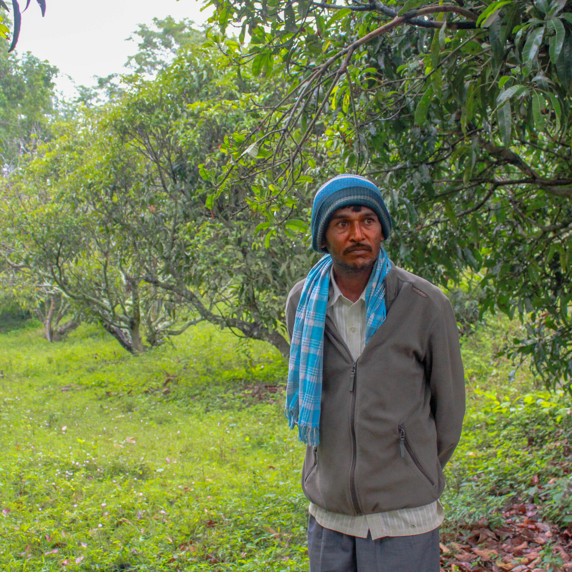 Stories - Millet Revival Project