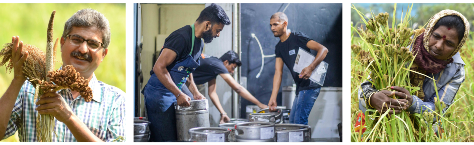 About the Millet Revival Project – Millet Revival Project