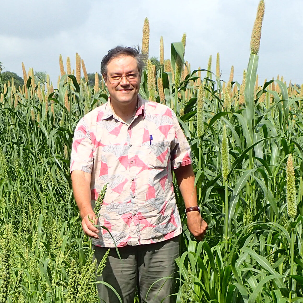 Millet Revival Project - Homepage