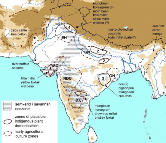 What Can Charred Plant Remains Tell Us About the History of Millet ...