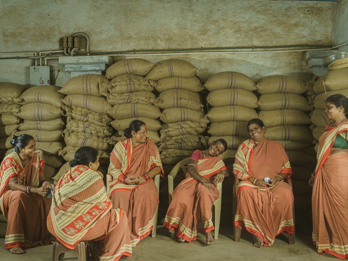 What Can Charred Plant Remains Tell Us About the History of Millet ...