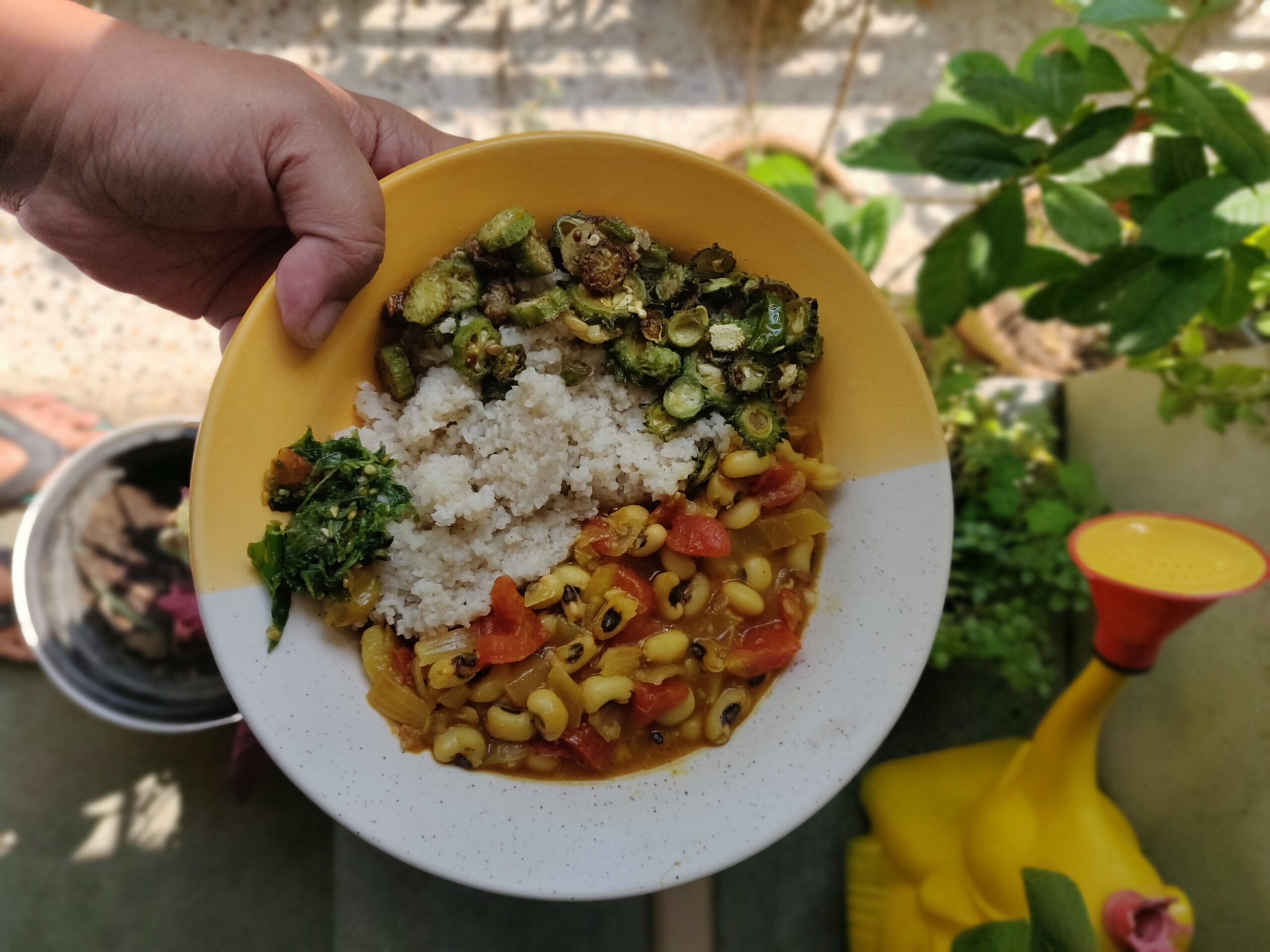 ‘Kutki Gets Ready Just with Dew’ – Millet Revival Project