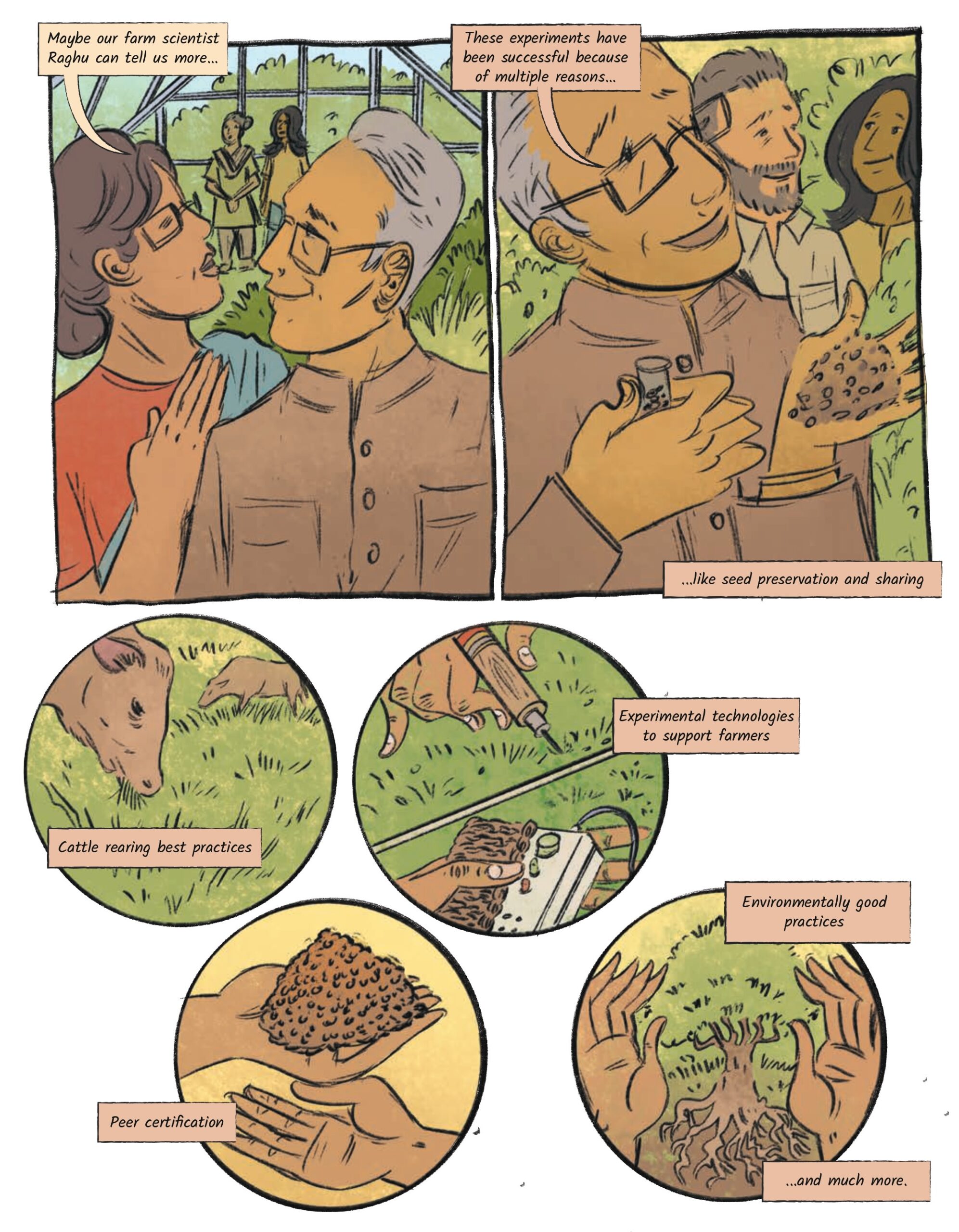 Reimagining the Future of Food, Comic-style – Millet Revival Project