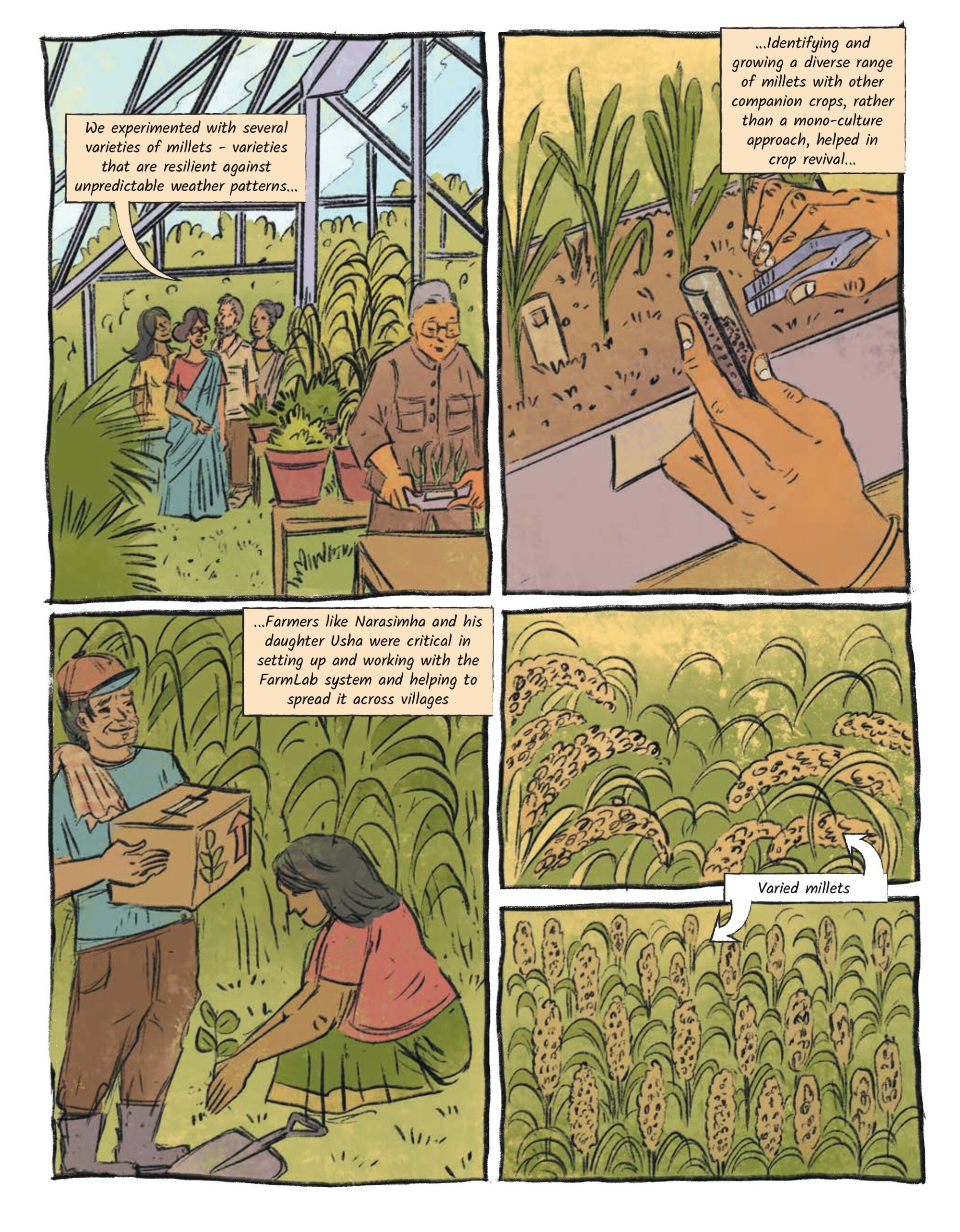Reimagining the Future of Food, Comic-style – Millet Revival Project