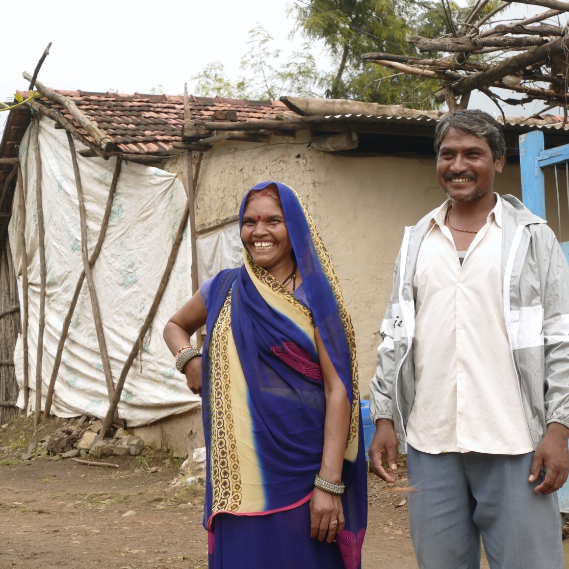 Millet Revival Project